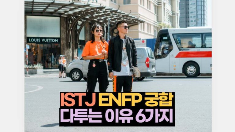 ISTJ ENFP 궁합 다투는 이유 6가지 현재와 미래 중시 | 2025