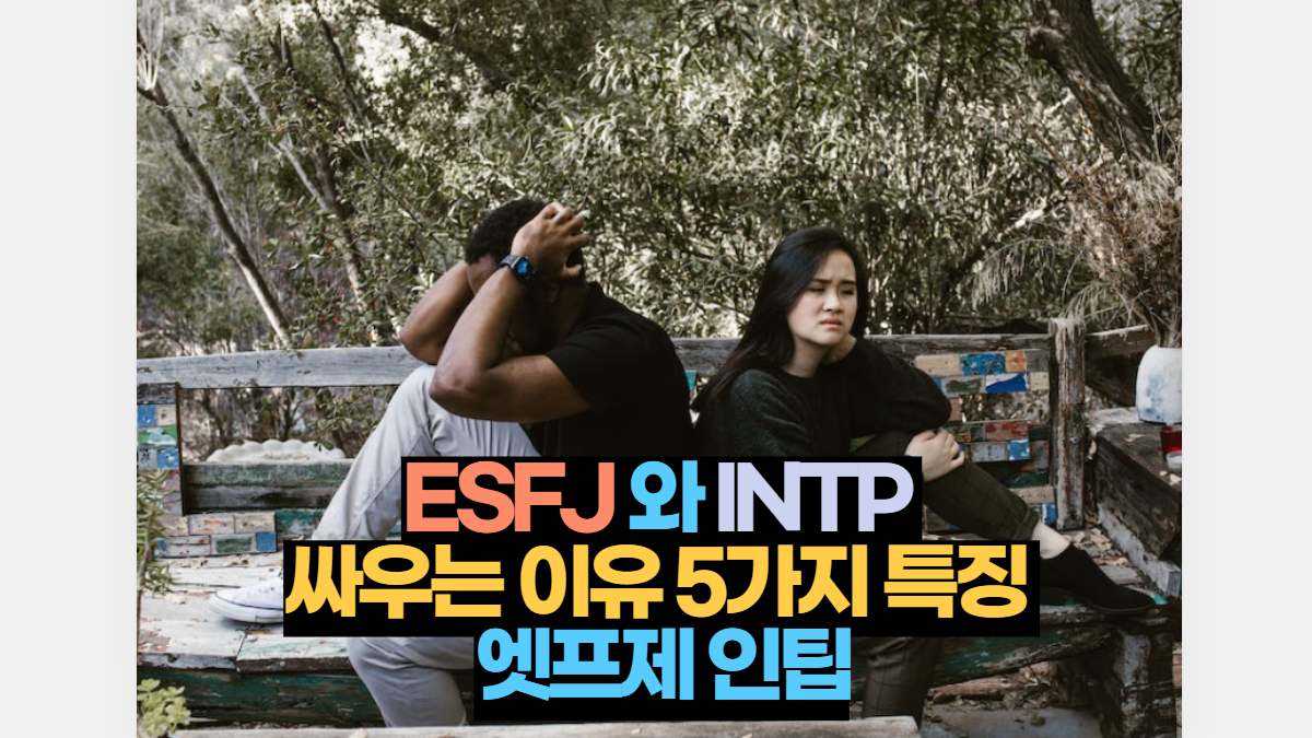 ESFJ 와 INTP 궁합 싸우는 이유 5가지 특징 엣프제 인팁 | 2026